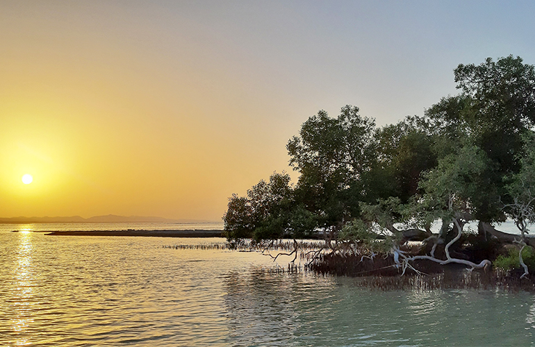 El Qulaan | Wanderlust Red Sea